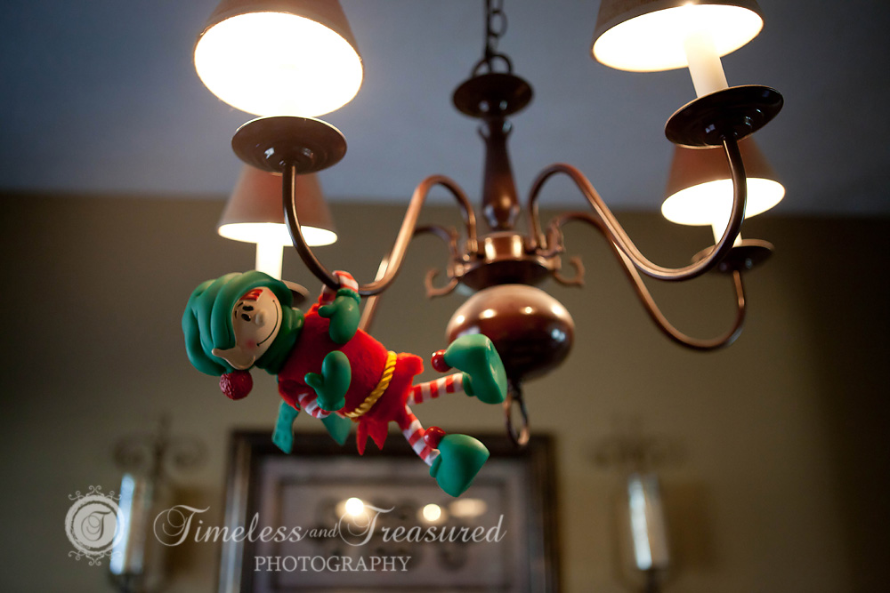 What's Christopher Elf Up To? - Heather O'Steen Photography