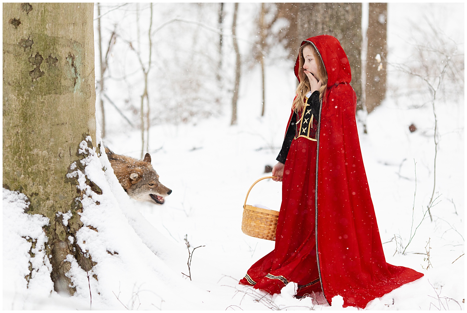 Winter Red Riding Hood - Heather O'Steen Photography