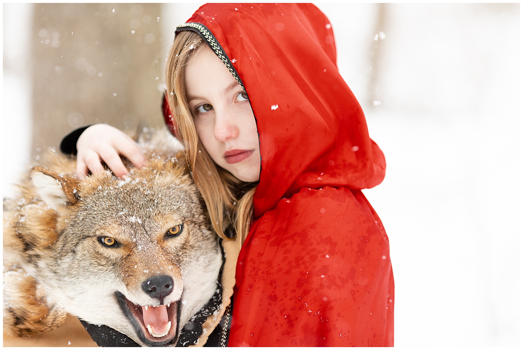 Winter Red Riding Hood - Heather O'Steen Photography
