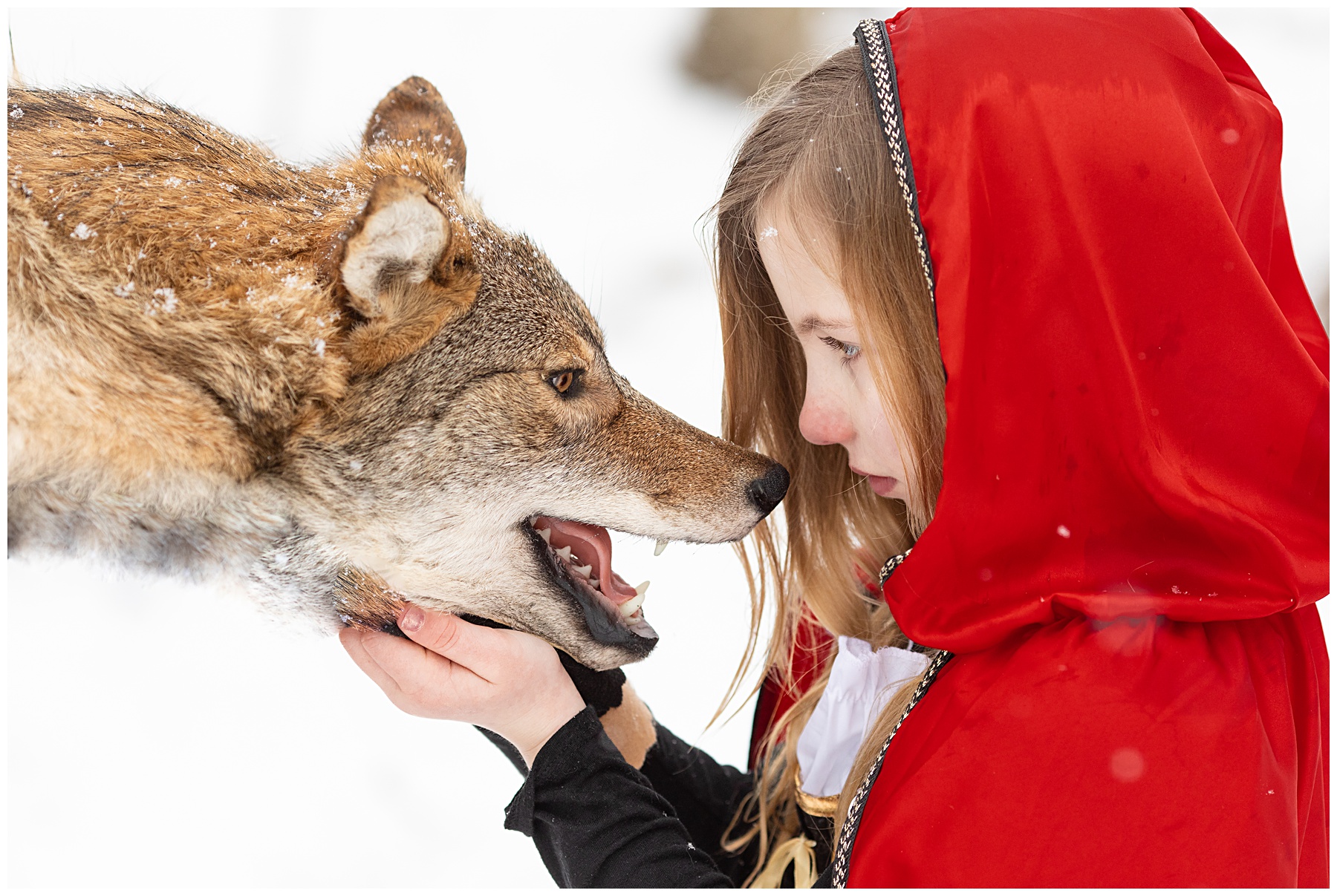 Winter Red Riding Hood - Heather O'Steen Photography