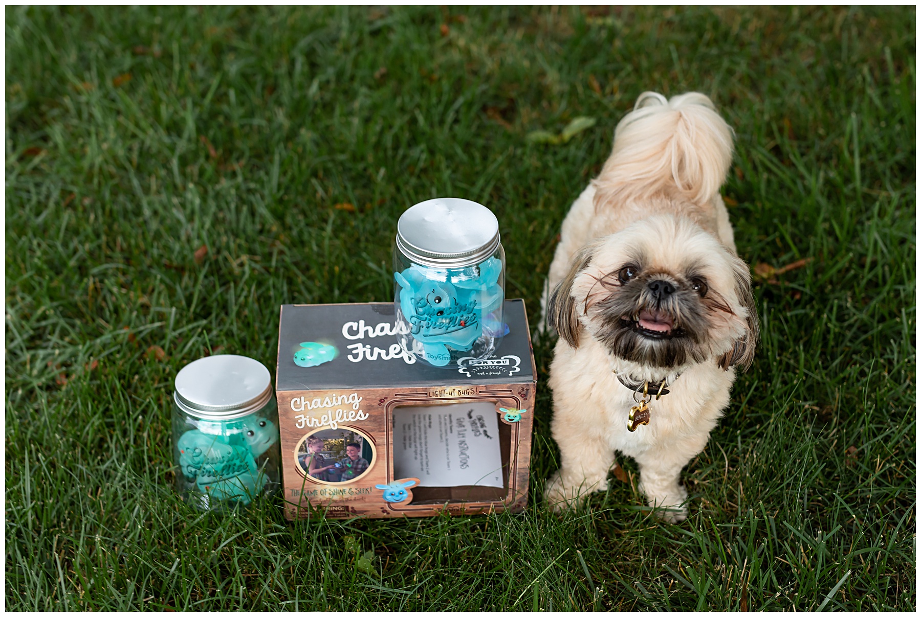 Chasing Fireflies ~ A Timberdoodle Review - Heather O'Steen Photography